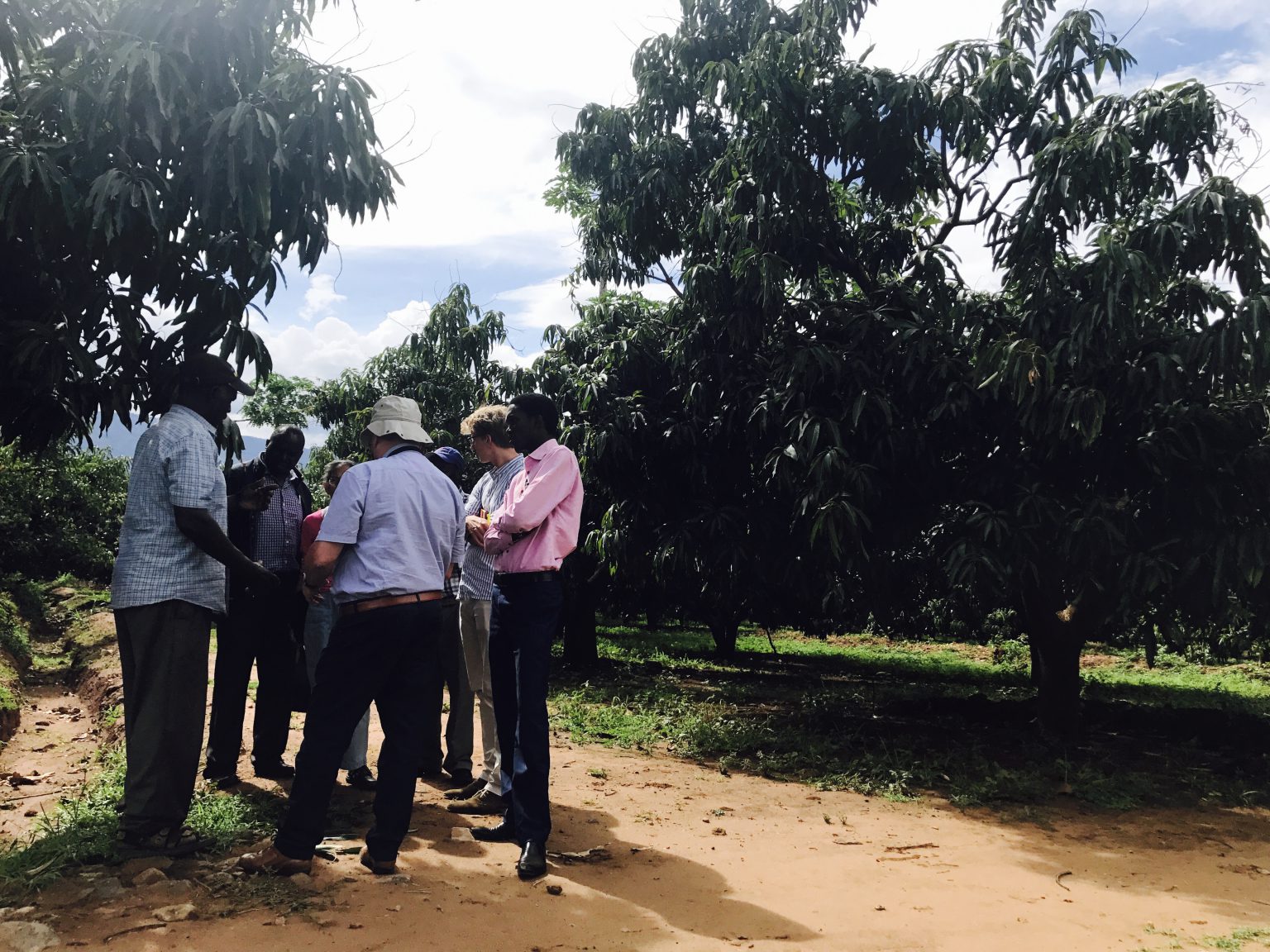 How the DKHF helps – Dutch-Kenyan Health Foundation